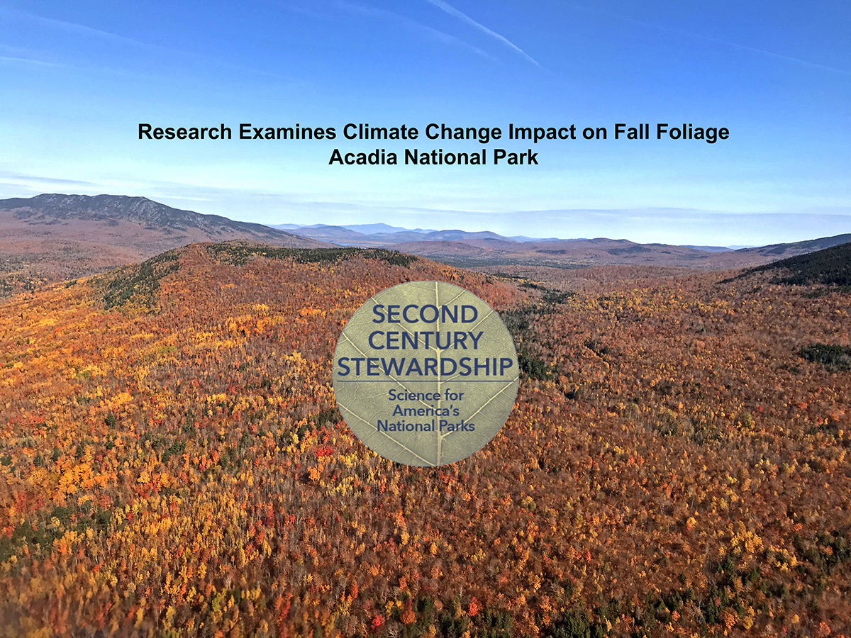 Research Examines Climate Change Effect on Fall Foliage – Second ...
