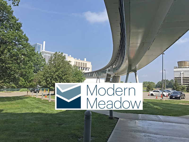 Modern Meadow: momentum!