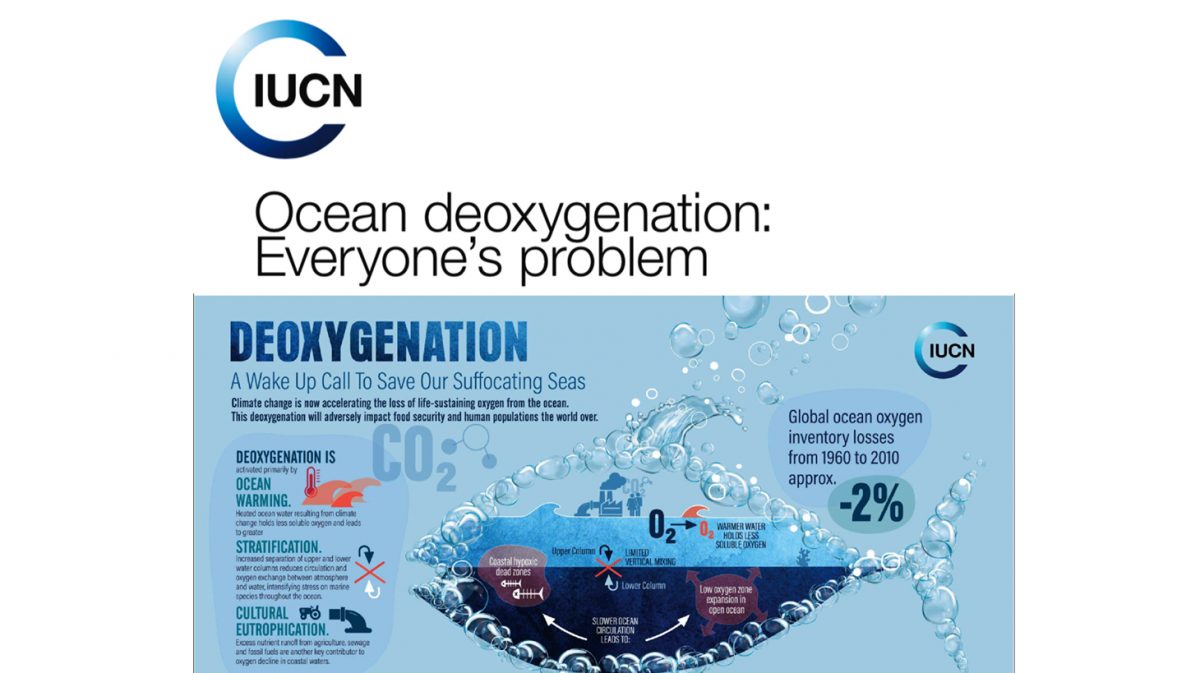 IUCN Report on Ocean Deoxygenation