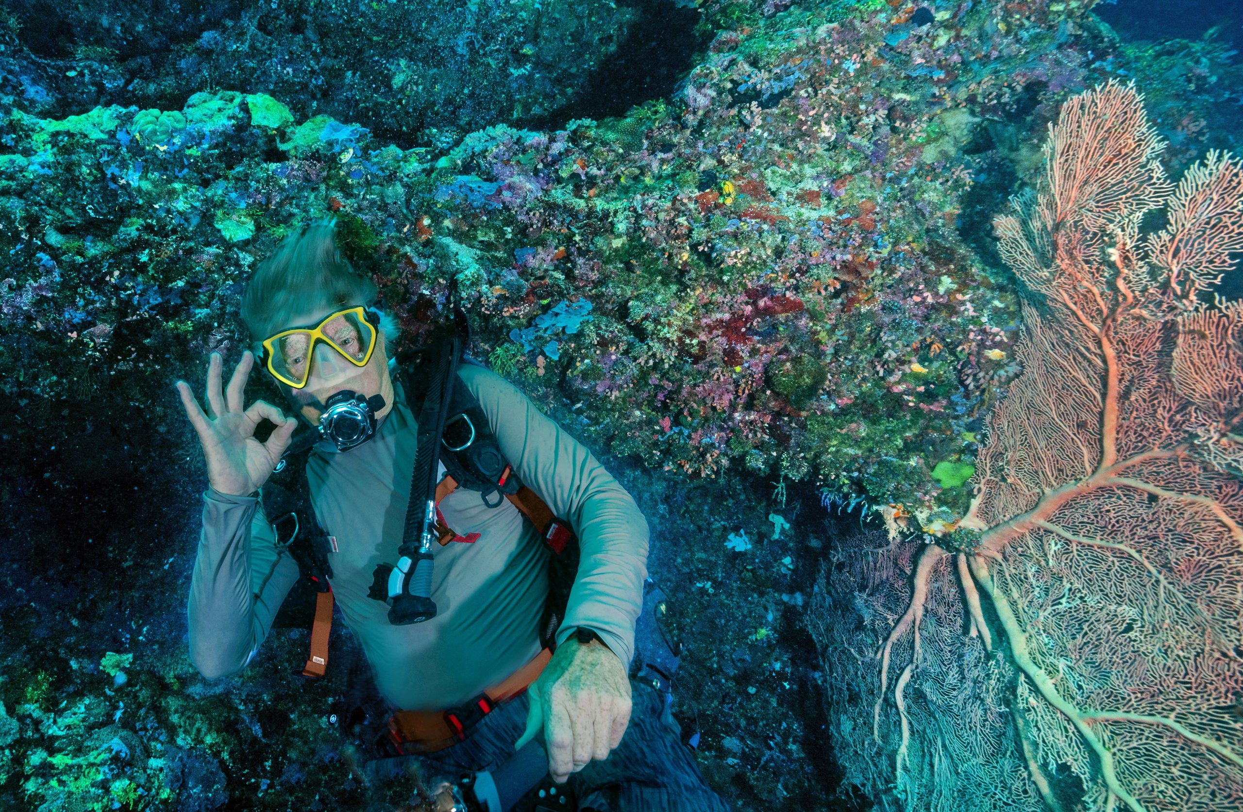 Two Historic Victories for World Oceans