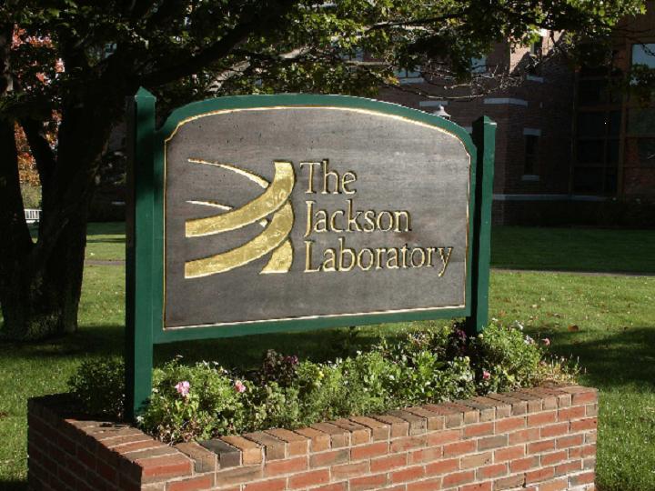 jackson laboratory