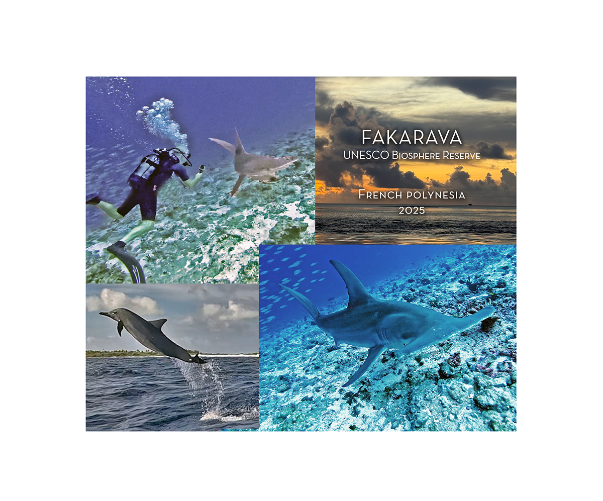 Journey to Fakarava UNESCO World Heritage Biosphere Reserve